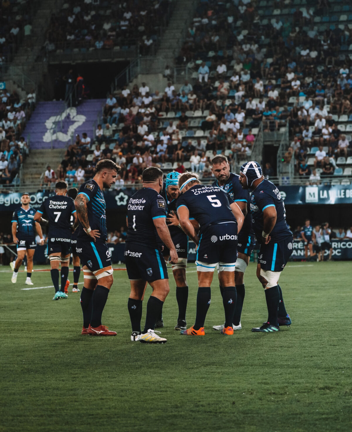 Équipe pro - Montpellier Hérault Rugby - MHR
