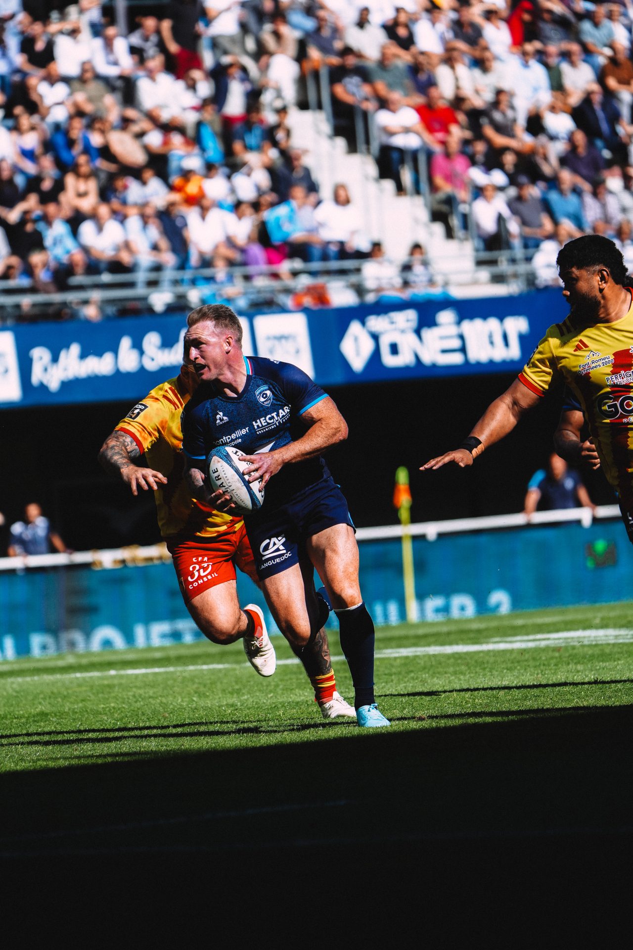 Montpellier Hérault Rugby - MHR